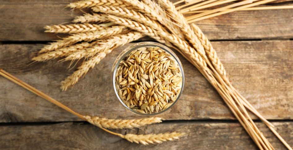 Um império em construção: a história da AMBEV